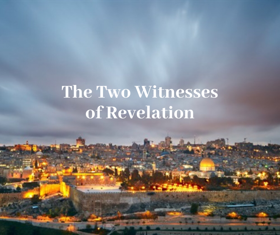The Two Witnesses of Revelation 11 | Profoundly PK
